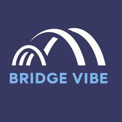 BridgeVibeShirts - Etsy