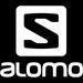 Salomon Ski/snowboard Sticker - Etsy