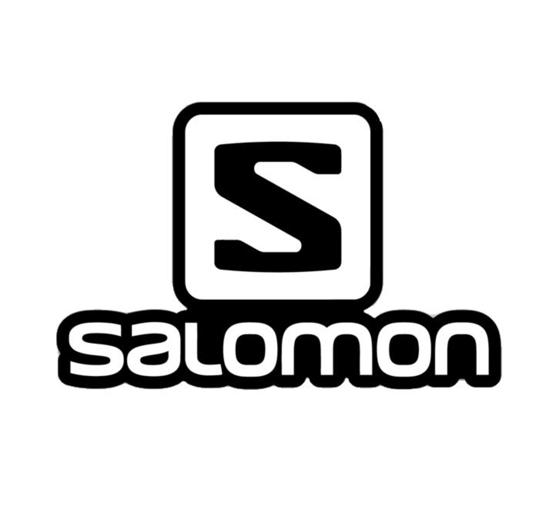 Salomon Ski/snowboard Sticker - Etsy