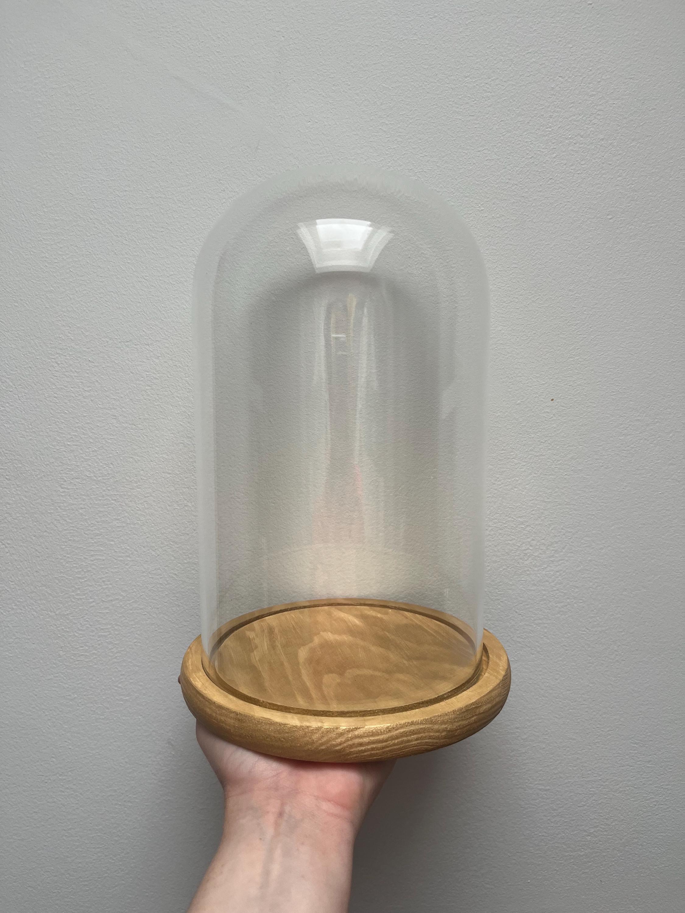 Large Bell Jar With Gold Painted Wood Base | 26 V 17 Cm (h, W) | Extra ...
