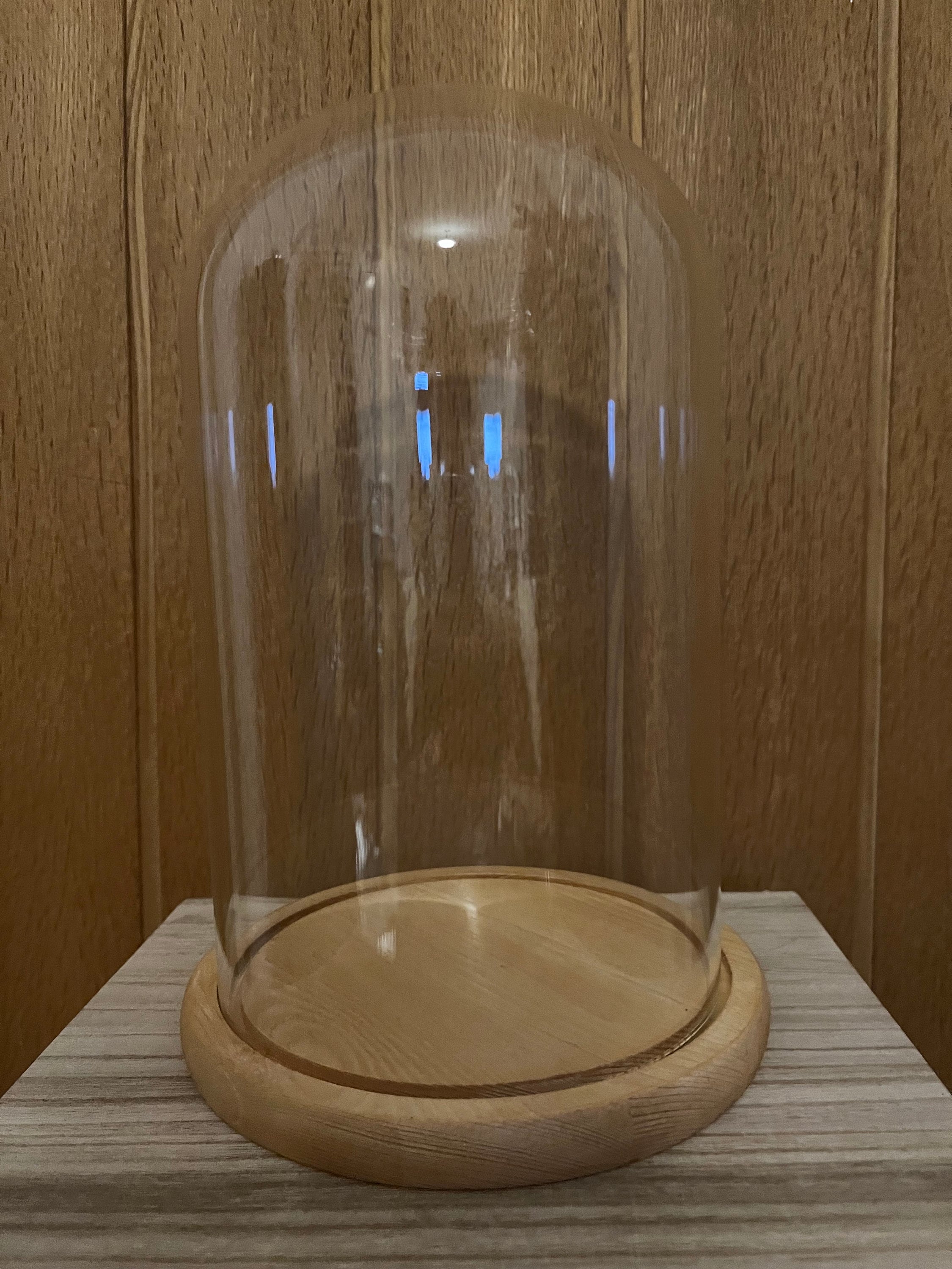 Large Glass Dome With Light Varnished Wood Base 25 V 15 Cm h, W Extra ...