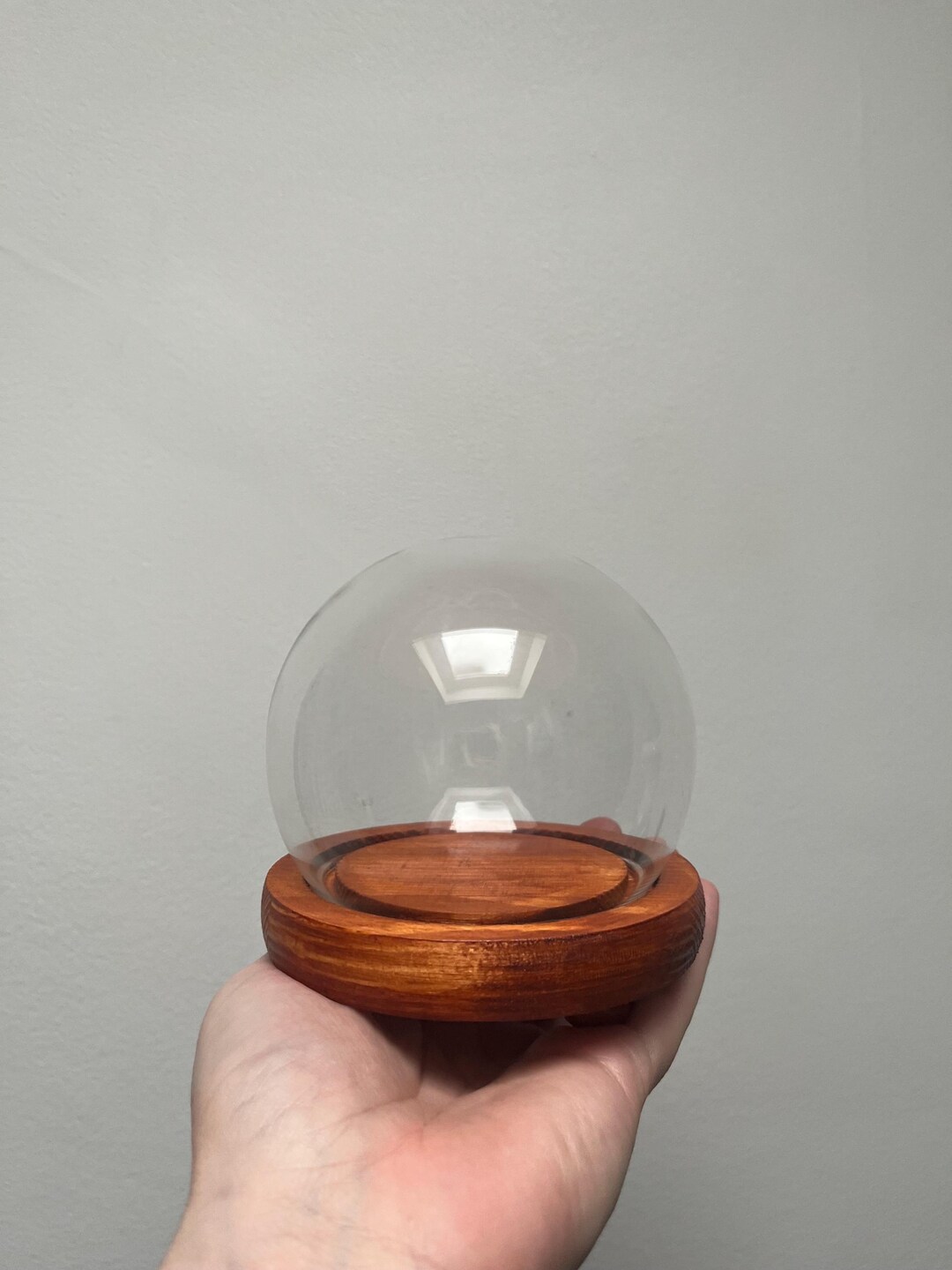 Small Round Bell Jar With Tan Wood Base | 11 V 10 Cm (h, W) | Circular ...