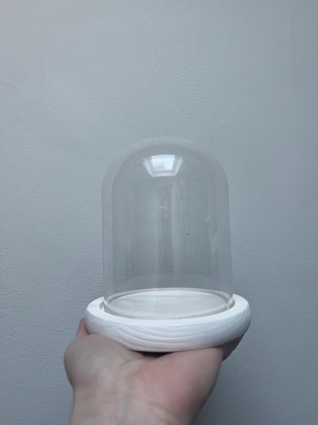 Medium Bell Jar With White Wood Base | 14 V 12 Cm (h, W) | Glass Dome ...