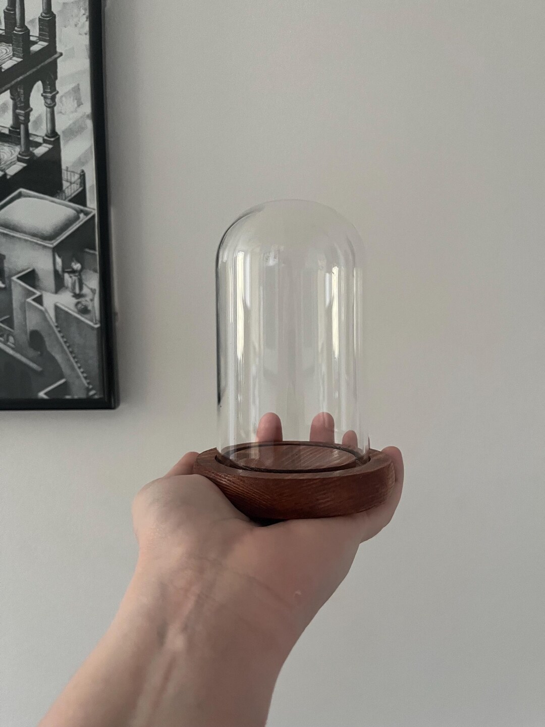 Extra Small Glass Dome With Tan Wood Base | 13 V 9 Cm (h, W) | Mini ...