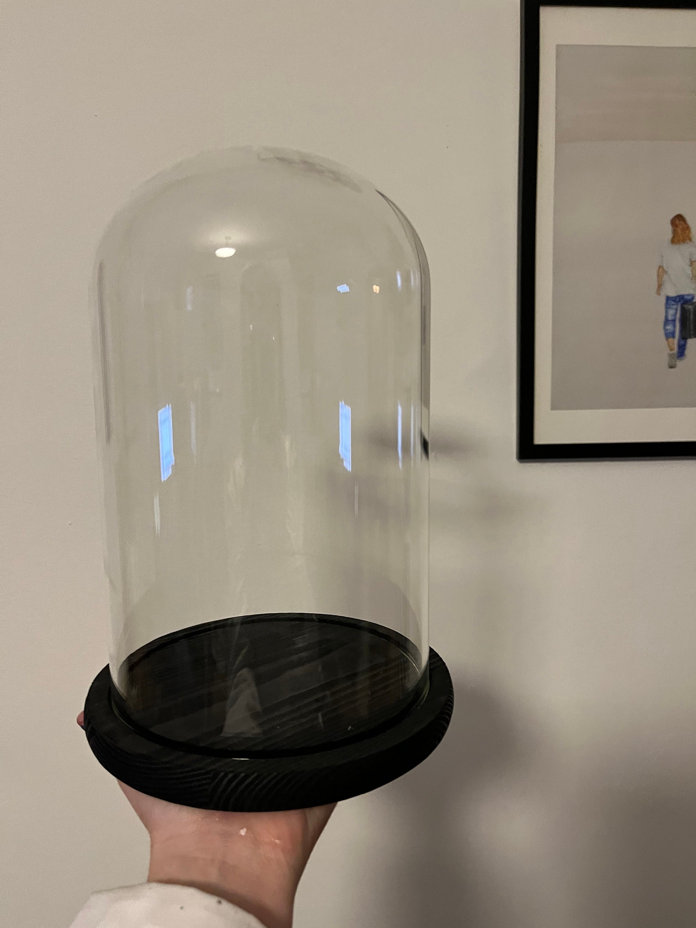 Large Glass Dome With Black Wooden Base | 26 V 17 Cm (h, W) | Extra ...