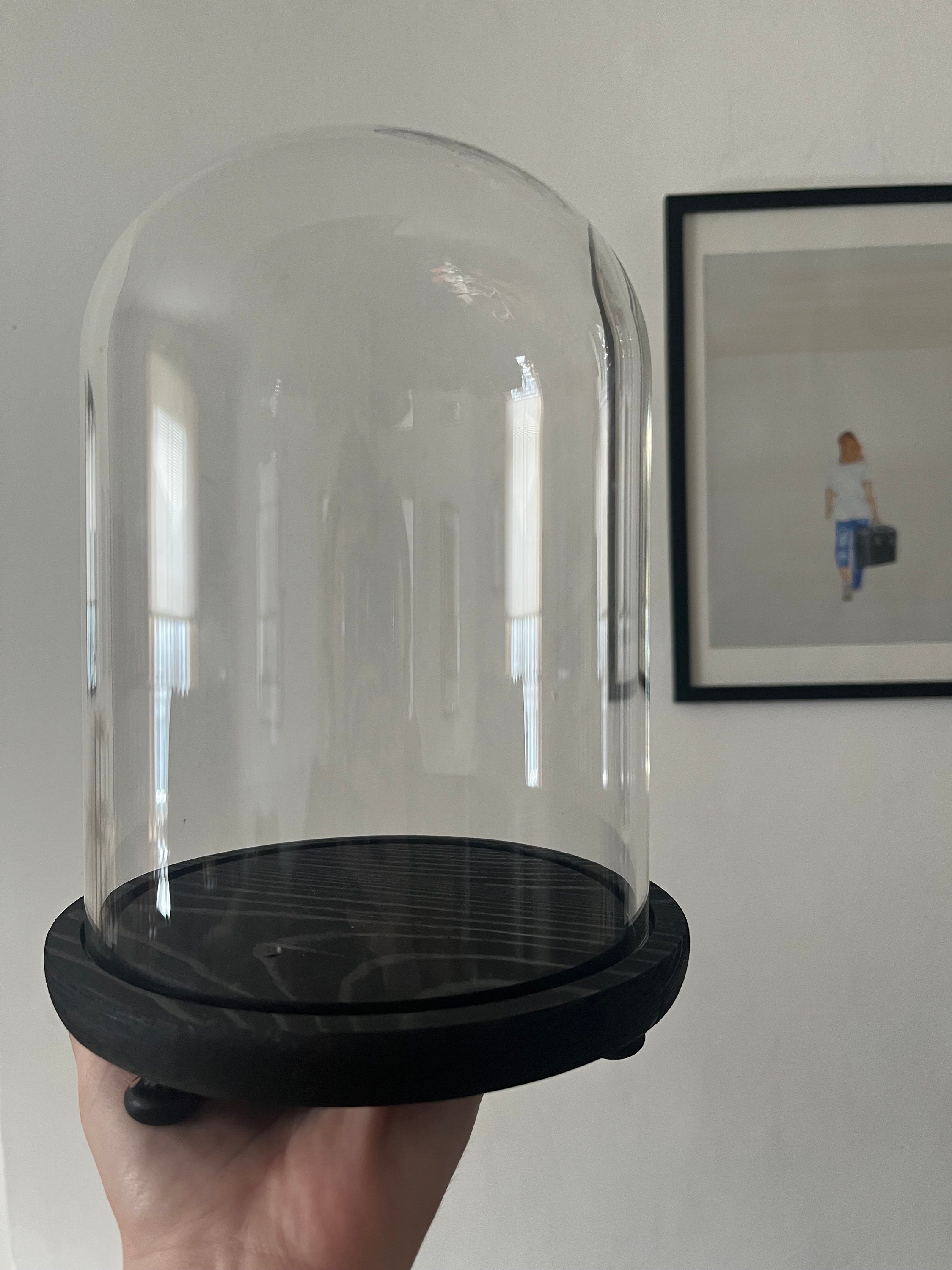 Big Bell Jar With Black Wooden Base 25 V 17 Cm h, W Extra Large Black ...