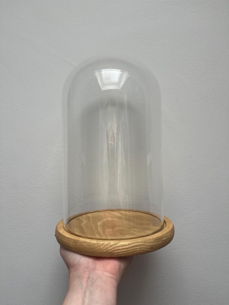 Large Bell Jar With Gold Painted Wood Base | 26 V 17 Cm (h, W) | Extra ...