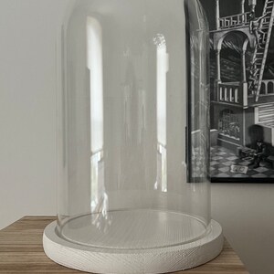 Large Glass Dome With White Wooden Base | 26 V 17 Cm (h, W) | Extra ...