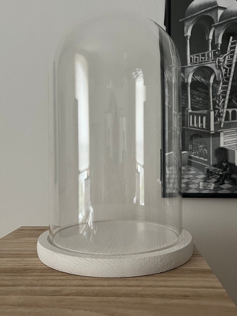 Large Glass Dome With White Wooden Base | 26 V 17 Cm (h, W) | Extra ...