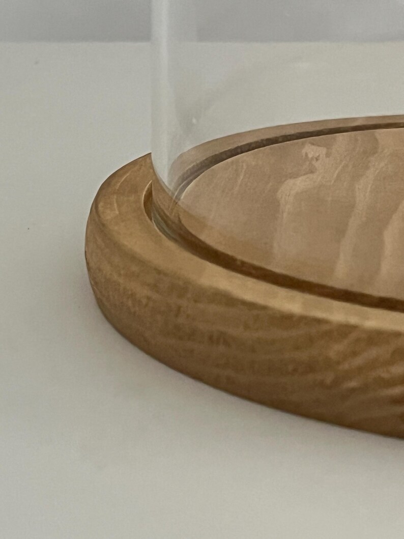 Large Bell Jar With Gold Painted Wood Base | 26 V 17 Cm (h, W) | Extra ...