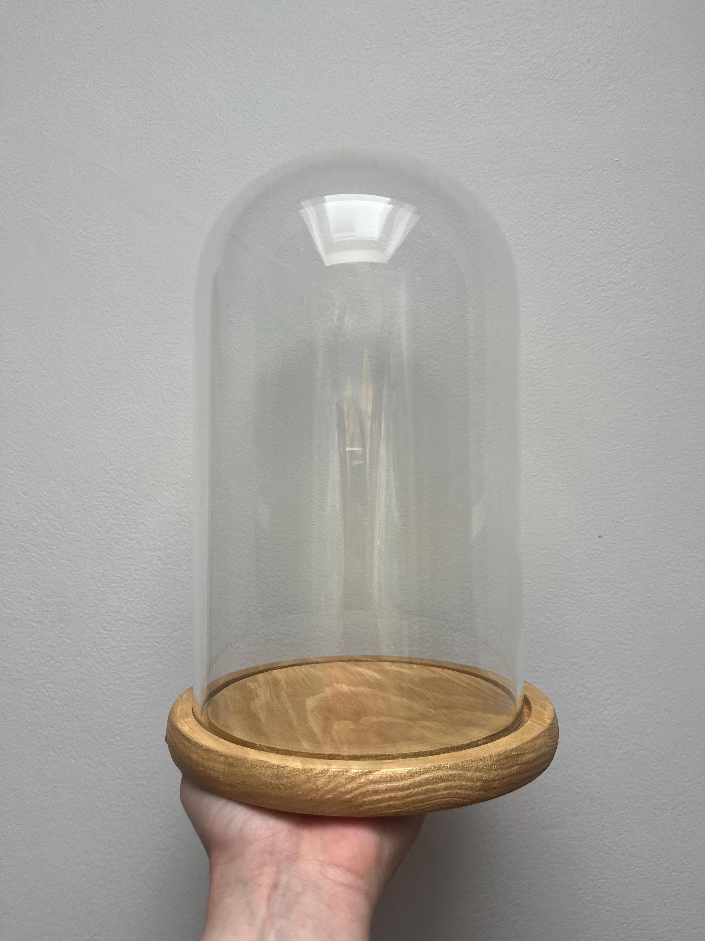Large Bell Jar With Gold Painted Wood Base | 26 V 17 Cm (h, W) | Extra ...