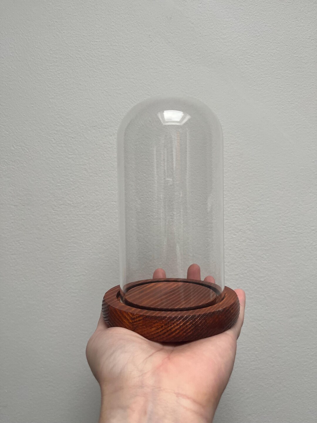 Small Bell Jar on Vintage Effect Wooden Base | 16 V 10 Cm (h, W) | Med ...