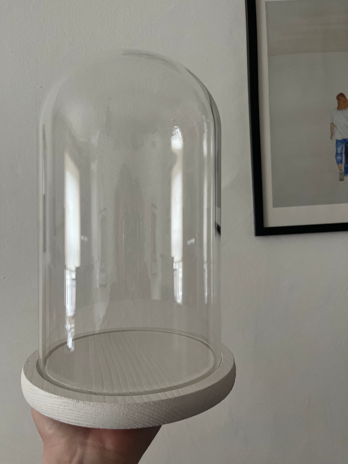 Large Glass Dome With White Wooden Base 25 V 15 Cm h, W Extra Large ...