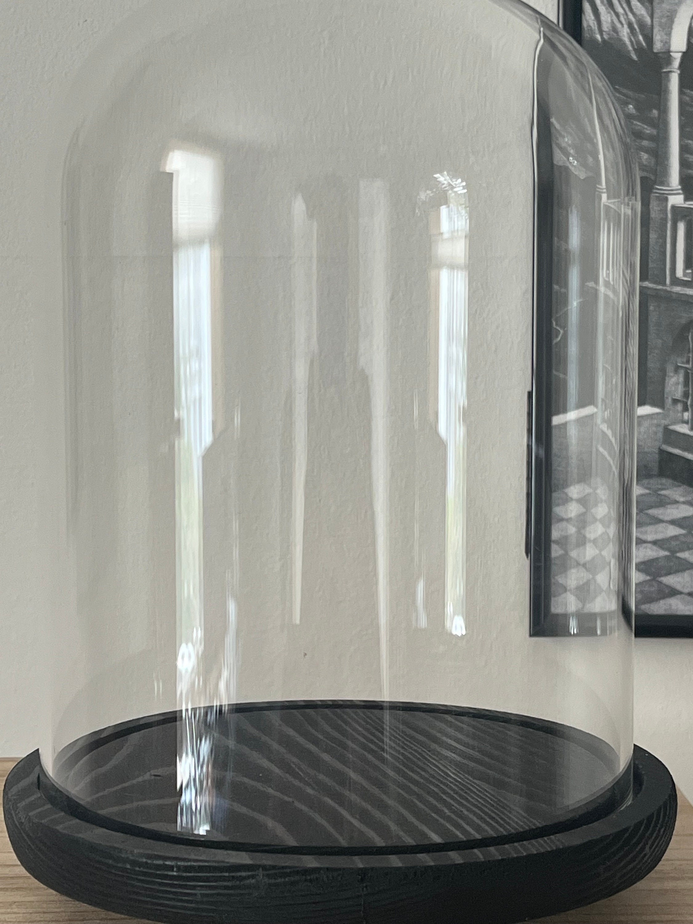 Big Bell Jar With Black Wooden Base 25 V 17 Cm h, W Extra Large Black ...