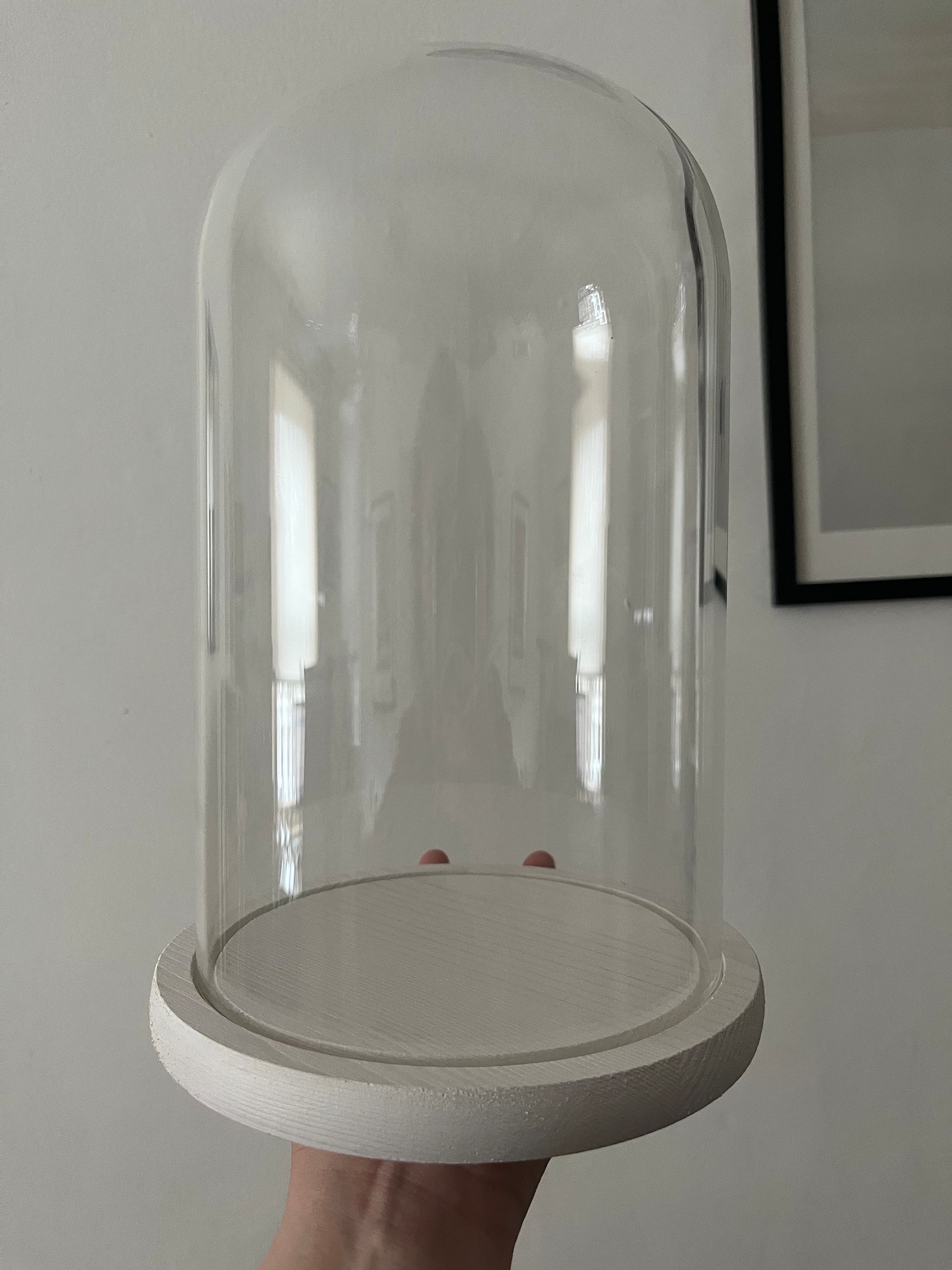 Large Glass Dome With White Wooden Base 25 V 15 Cm h, W Extra Large ...