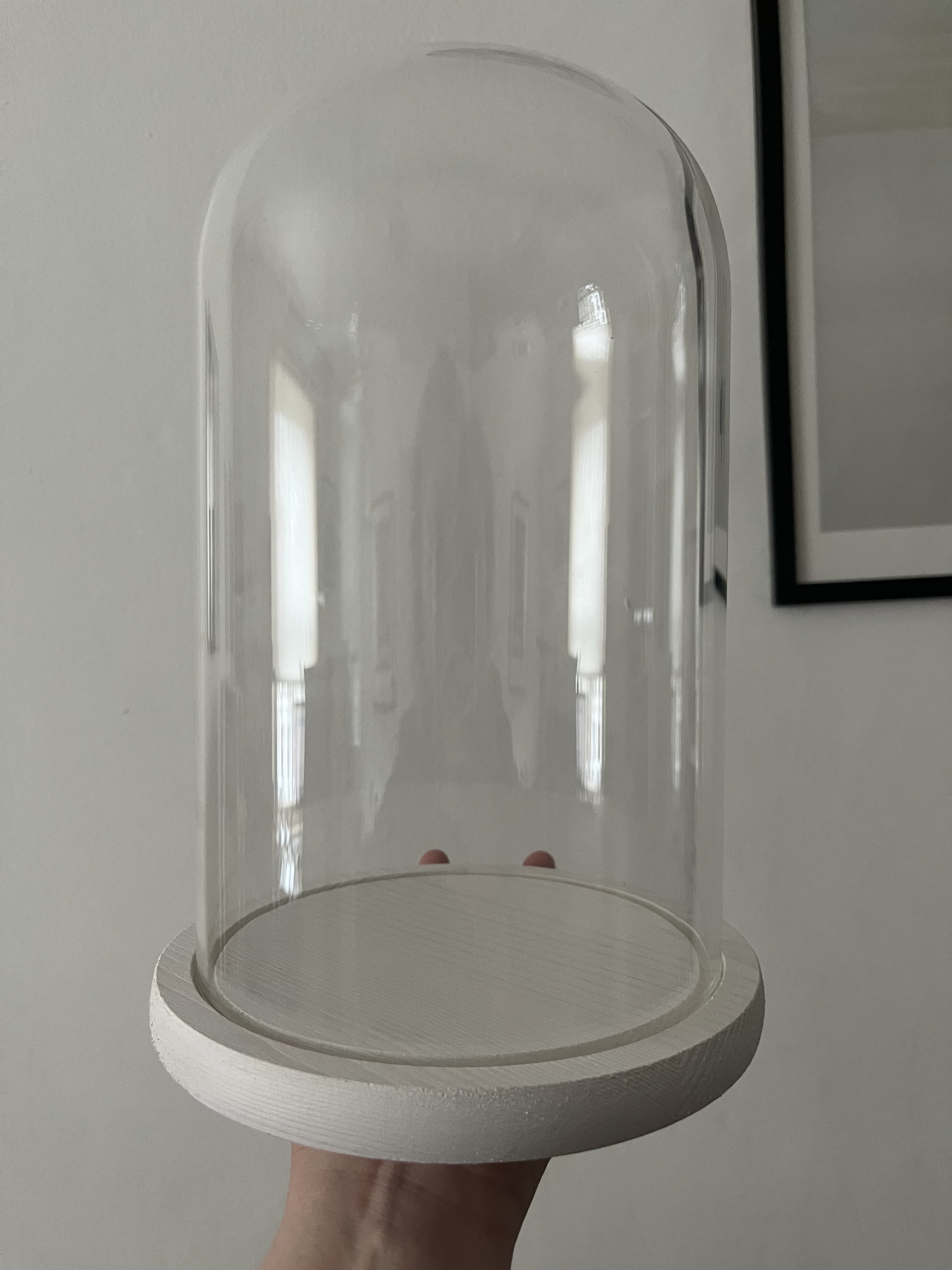 Large Glass Dome With White Wooden Base 25 V 15 Cm h, W Extra Large ...