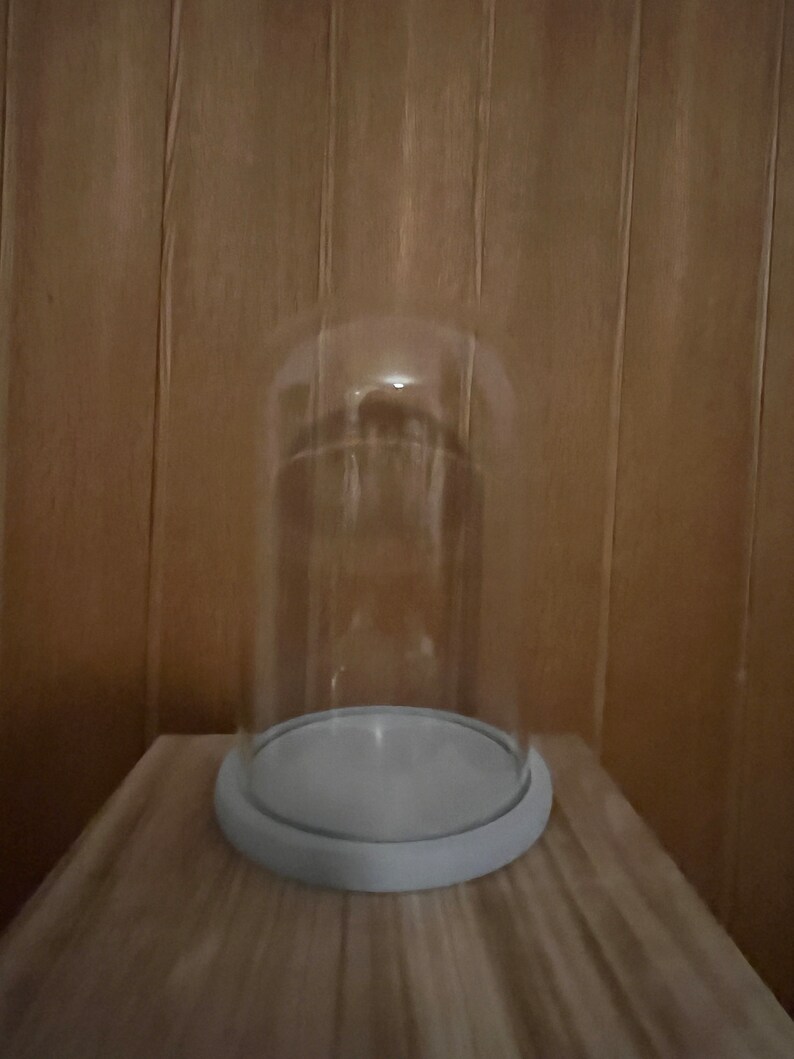 Large Glass Dome With Light Grey Wooden Base | 26 V 17 Cm (h, W ...