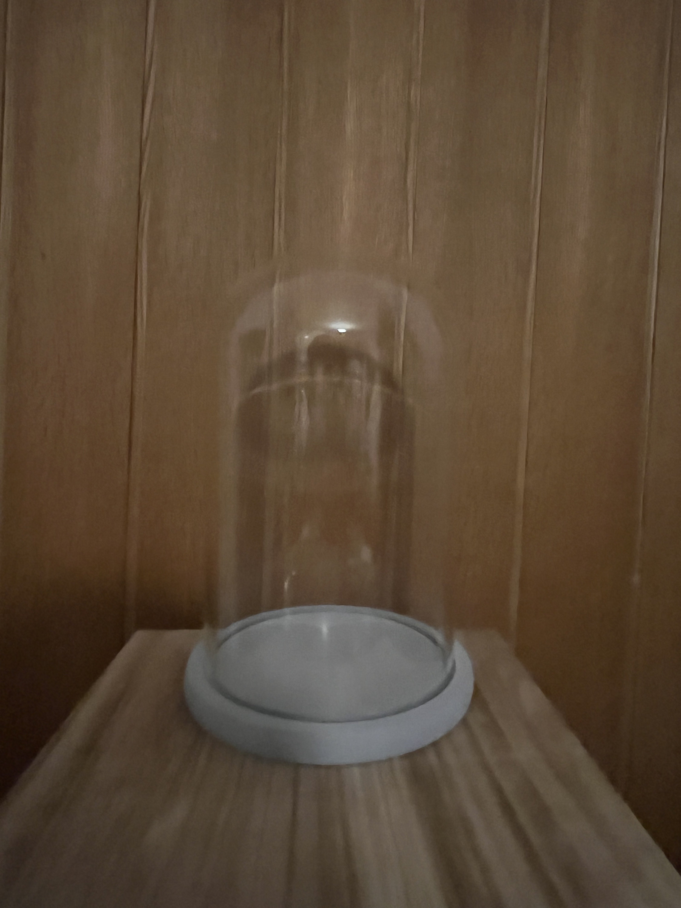 Large Glass Dome With Light Grey Wooden Base 25 V 15 Cm h, W Extra ...