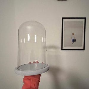 Large Glass Dome With Light Grey Wooden Base | 26 V 17 Cm (h, W ...