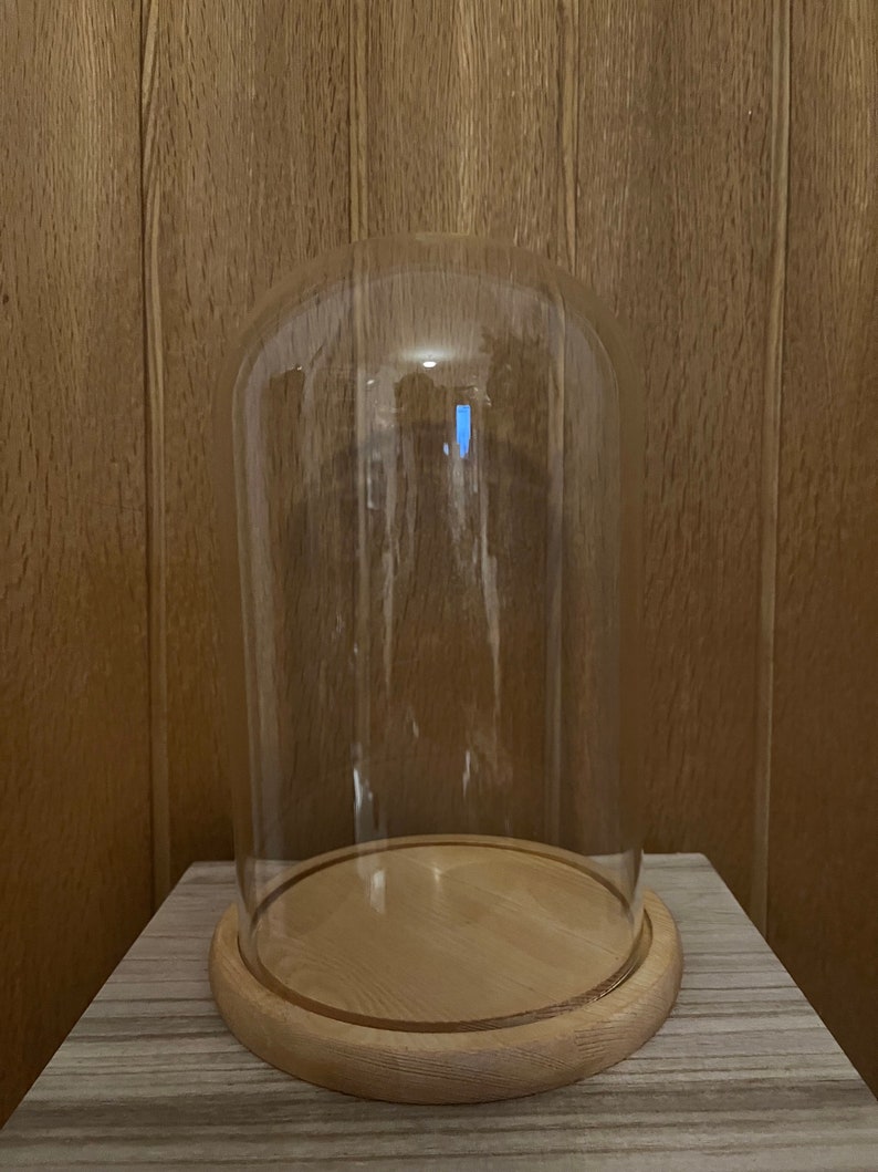 Large Glass Dome With Light Varnished Wood Base 25 V 15 Cm H W Extra Large Bell Jar Glass