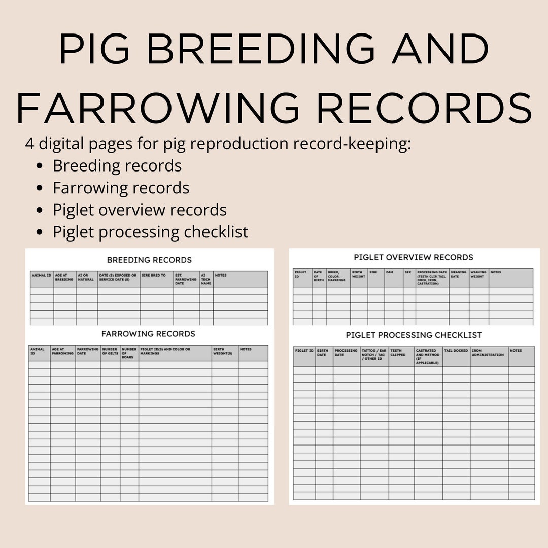 Pig Breeding and Farrowing Records - Etsy