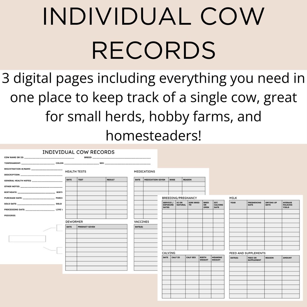 Individual Cow Records - Etsy
