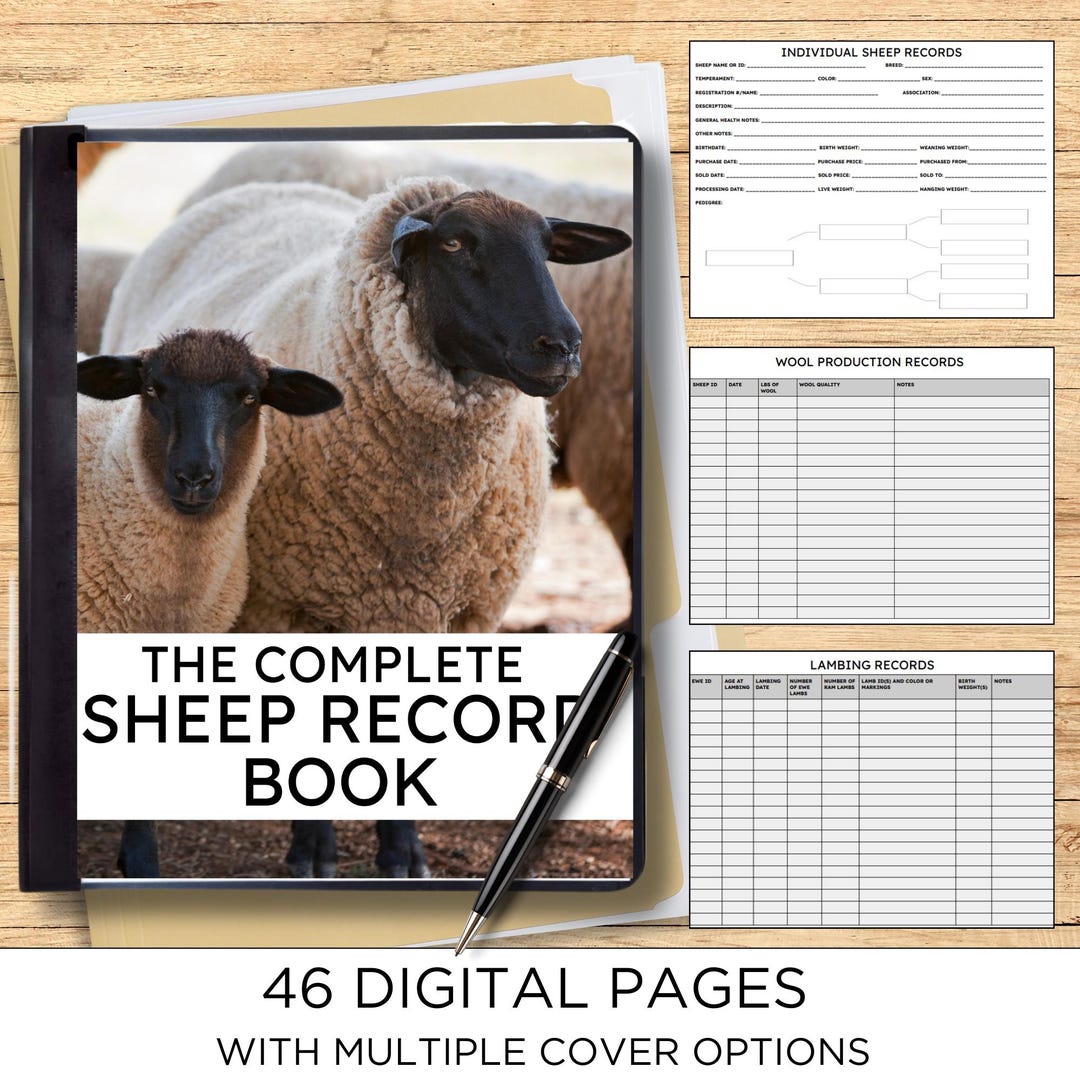 The Complete Sheep Record Book - Digital Copy - Etsy
