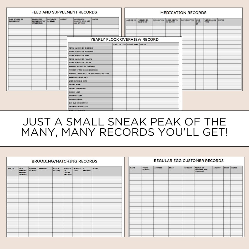 The Complete Chicken Record Book - Physical Copy - Etsy