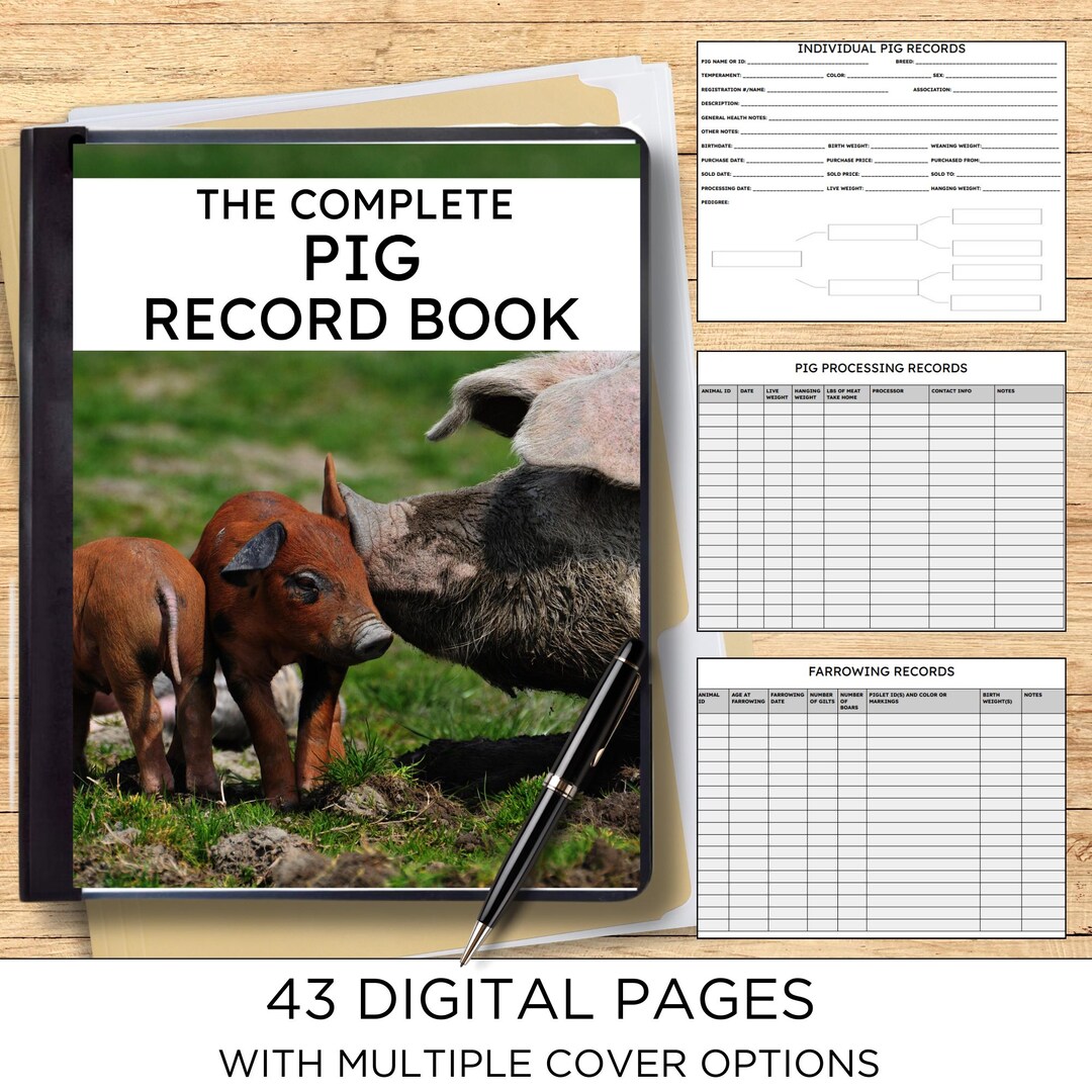 The Complete Pig Record Book - Digital Copy - Etsy