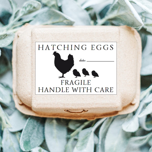 Hatching Eggs Stickers - Etsy