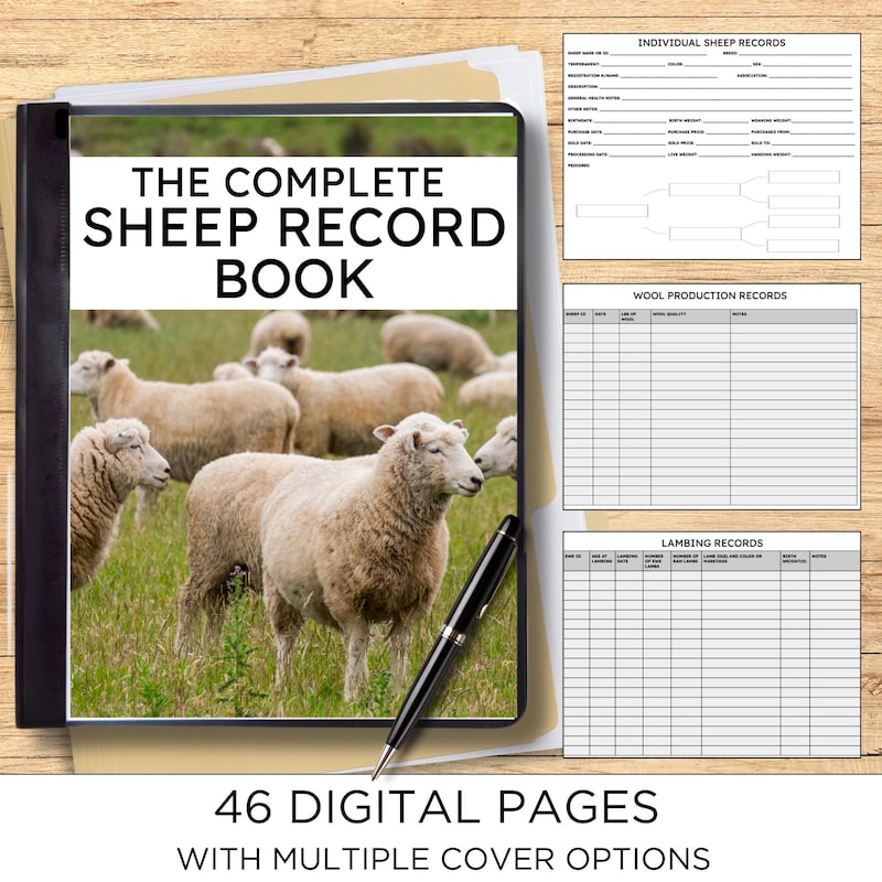 Record Sheep Book - Etsy