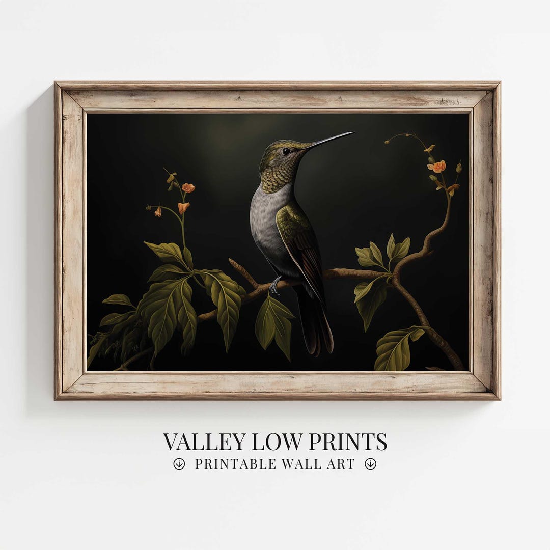 Dark Moody Hummingbird Painting Style Digital Download Wall Art | Oil ...