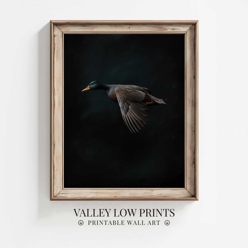 Duck Dark Background - Etsy UK