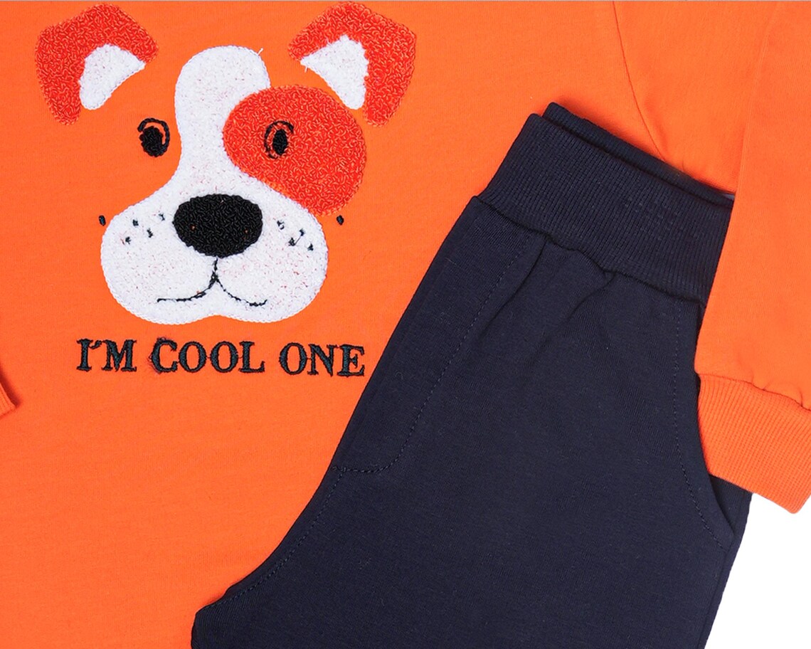 Colourful Tracksuit for Kids With Cute Dog Embroidery - Etsy