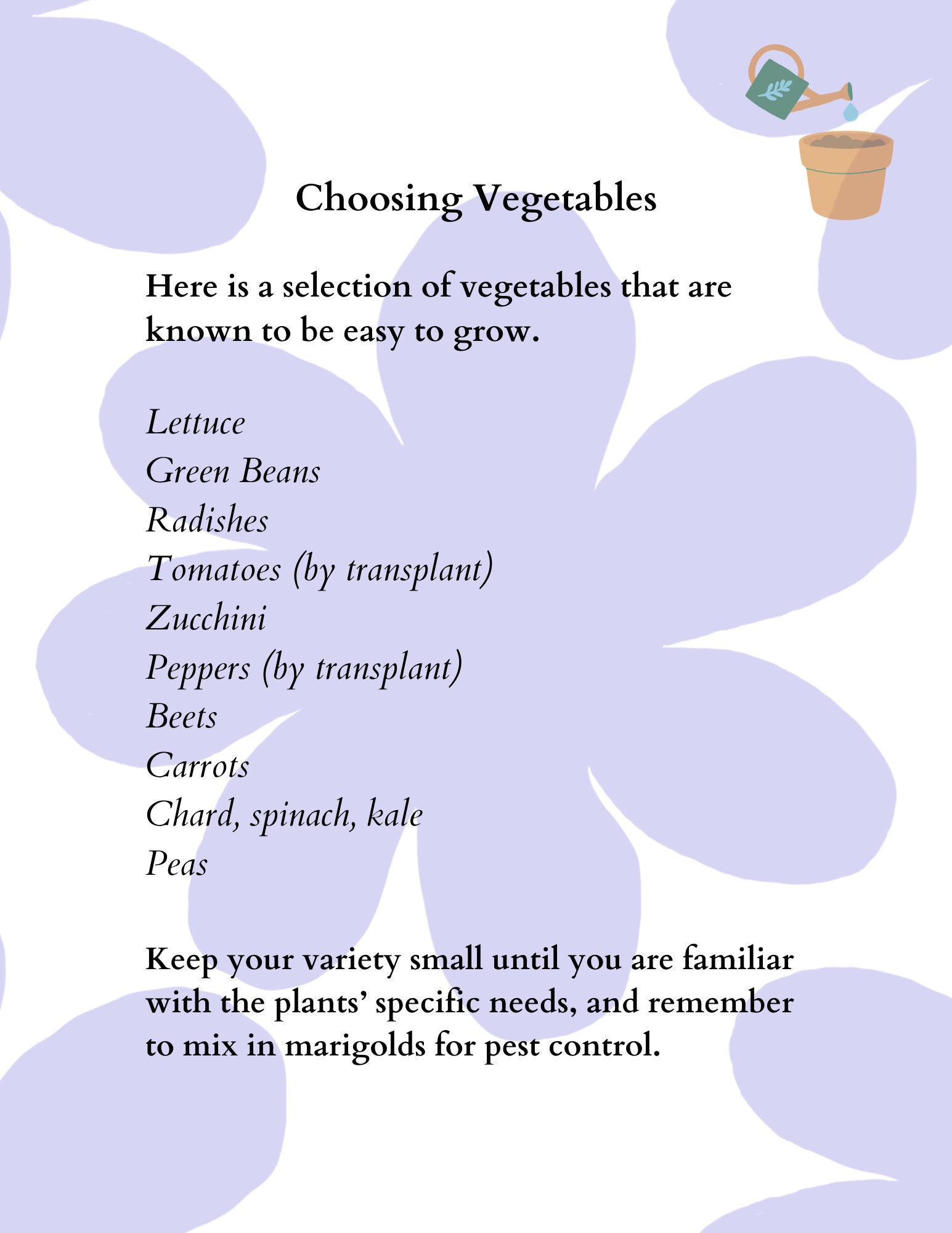 Spring Garden Planner Booklet for Beginner Gardeners - Etsy