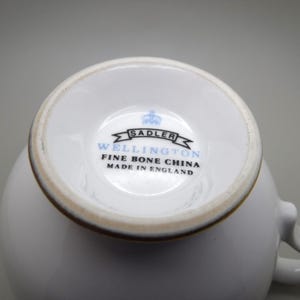 Sadler Vintage Teacup and Saucer Ladies Tea Party Afternoon Tea Elegant ...