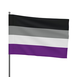 Asexual Pride Flag Ace Banner for LGBTQIA Representation and Visibility ...