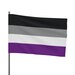 Asexual Pride Flag Ace Banner for LGBTQIA Representation and Visibility ...