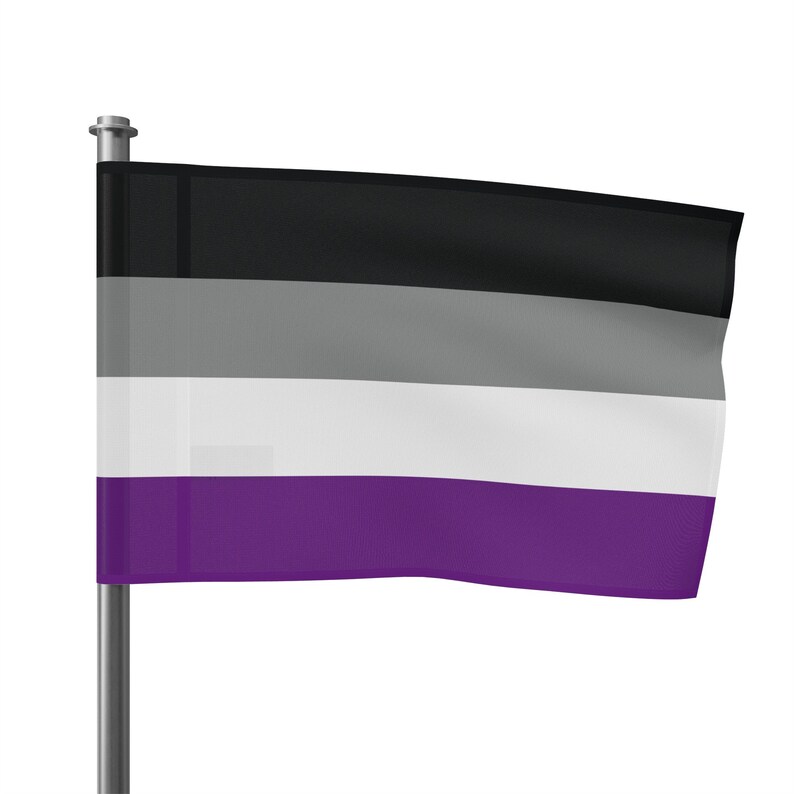 Asexual Pride Flag Ace Banner for LGBTQIA Representation and Visibility ...