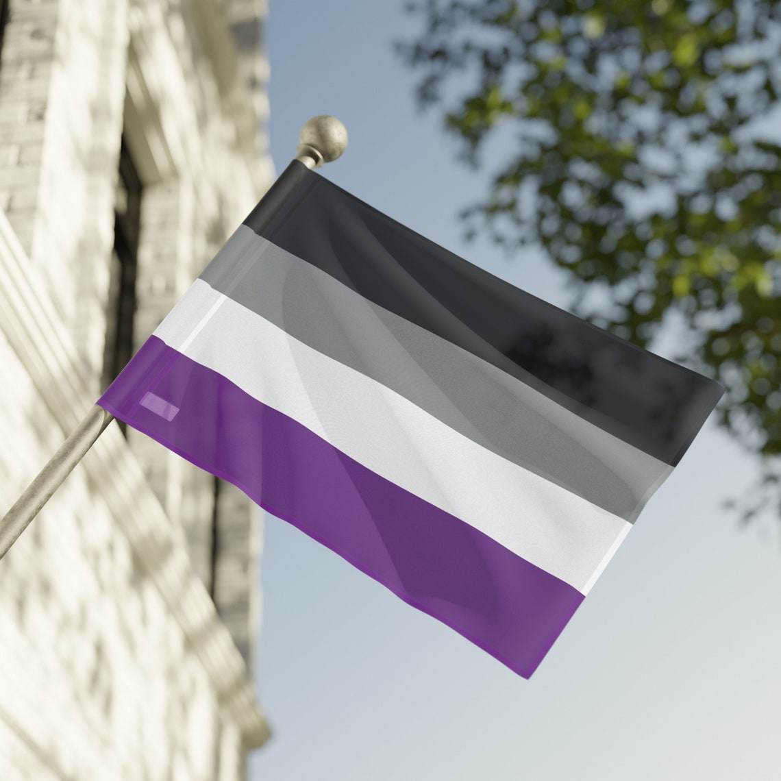 Asexual Pride Flag Ace Banner for LGBTQIA Representation and Visibility ...