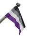 Asexual Pride Flag Ace Banner for LGBTQIA Representation and Visibility ...