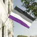 Asexual Pride Flag Ace Banner for LGBTQIA Representation and Visibility ...