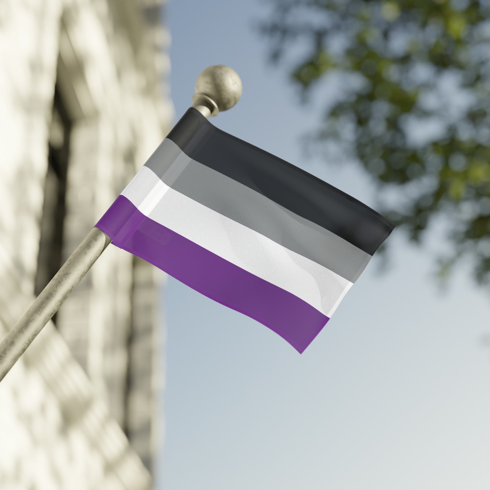 Asexual Pride Flag Ace Banner for LGBTQIA Representation and Visibility ...