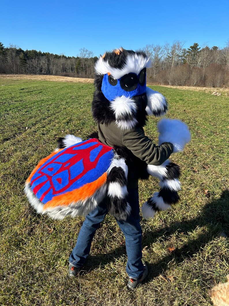 Furry Fursuit Premade Mini Partial Peacock Jumping Spider - Etsy