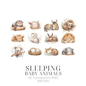 Sleeping Baby Animals Clipart, Sleeping Woodland, Cute Baby Animal PNG ...