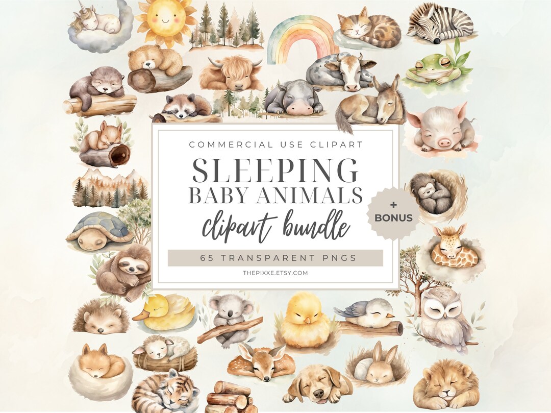 Sleeping Baby Animals Clipart, Sleeping Woodland, Cute Baby Animal PNG ...