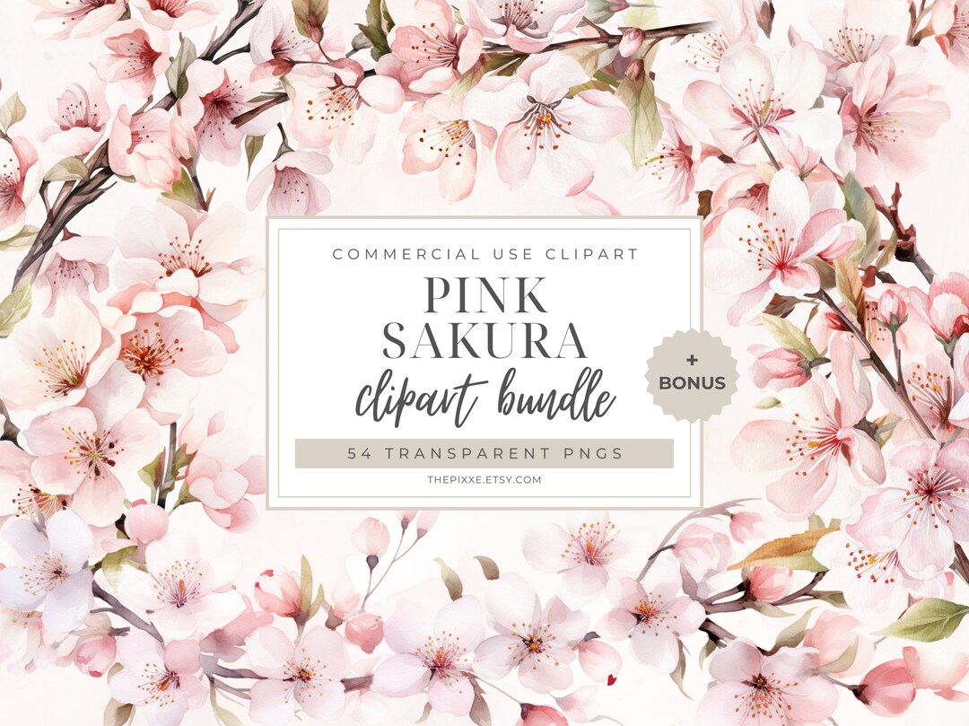Sakura Clipart, Cherry Blossoms Clipart, Sakura Watercolor, Pink Flower ...