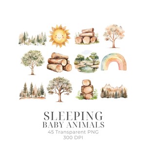 Sleeping Baby Animals Clipart, Sleeping Woodland, Cute Baby Animal PNG ...