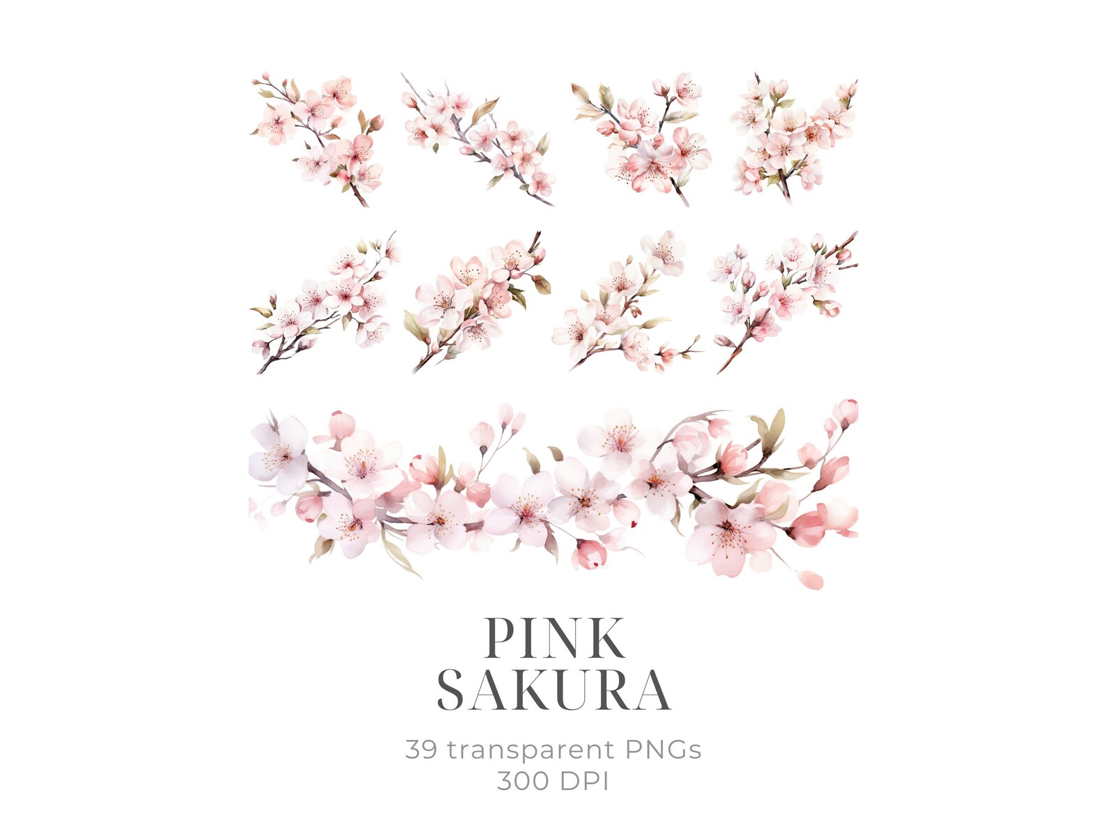 Sakura Clipart, Cherry Blossoms Clipart, Sakura Watercolor, Pink Flower ...