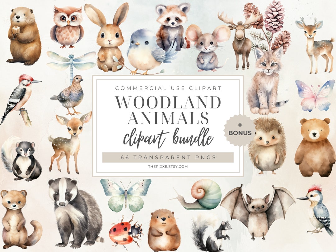 Nursery Woodland, Watercolor Woodlands, Woodland Baby Shower ...